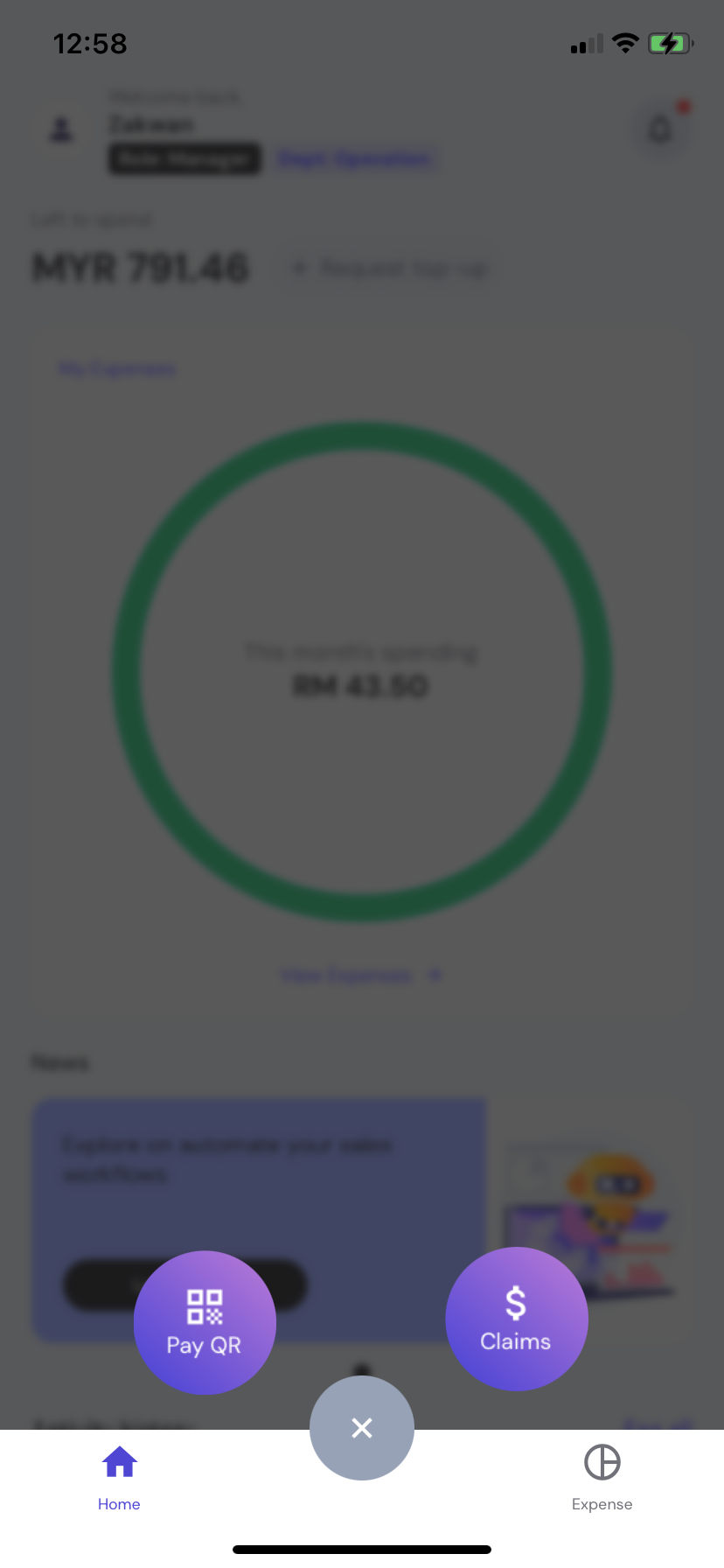 CHIP Control - CHIP Expense: getting started